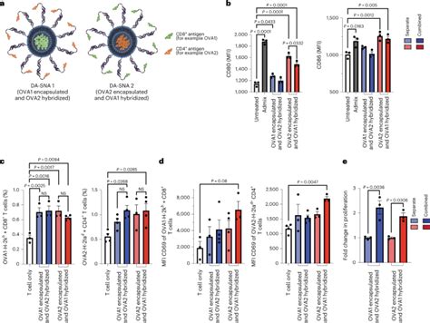 多抗原球形核酸癌症疫苗 Nature Biomedical Engineering X MOL
