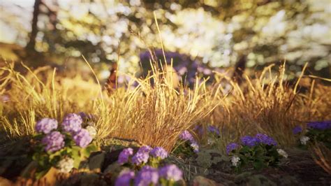 Raunak Soman On Linkedin Unrealengine5 Unrealengine Quixel Megascans