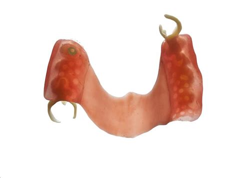 Biocetal B4 M 15 Gr Dentika Ro