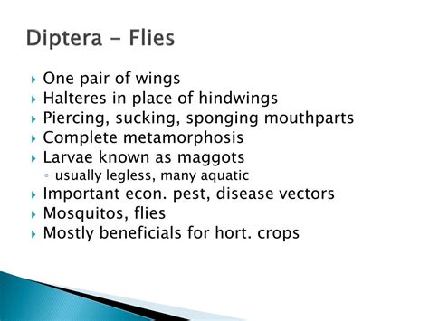 Ppt Insect Classification Powerpoint Presentation Free Download Id2300480