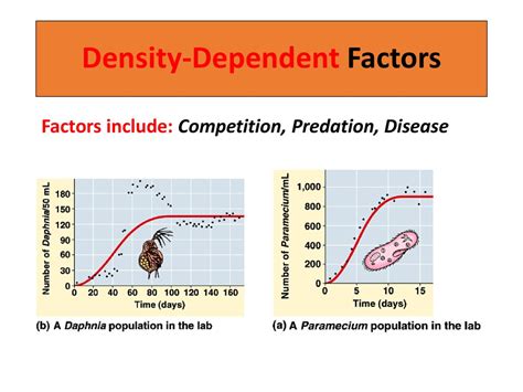 Models Of Population Growth Ppt Download