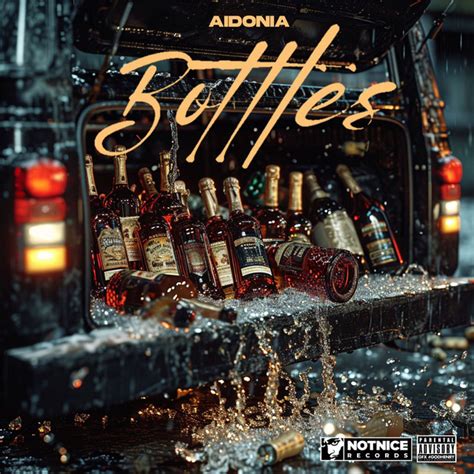 Bottles Song And Lyrics By Aidonia Notnice Spotify