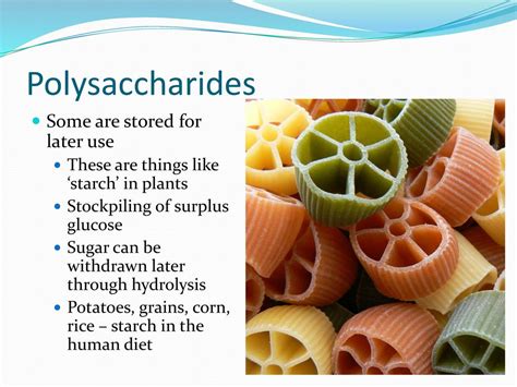 Chapter 52 Ap Biology Dr Solis Ppt Download