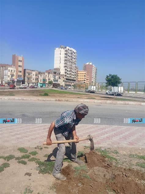 حملات تشجير ونظافة وتوعية بأسيوط ضمن مبادرة زراعة 100 مليون شجرة