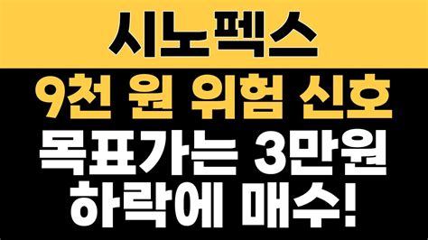 시노펙스 주가전망 9천 원 하락 위험 그래도 목표가는 3만원 하락에 매수 YouTube