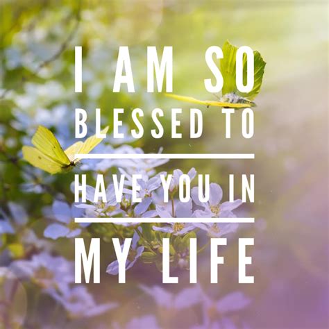 So Blessed Quotes 75 Gratitude Quotes To Show Your Appreciation