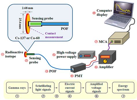 Development Of A Small Sized Flexible And Insertable Fiber Optic Radiation Sensor For Gamma