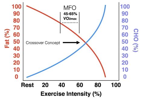 Sugar Vs Fat The Crossover Concept Of Carbohydrate And Fat