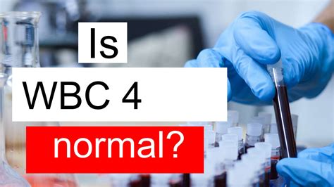 Is Wbc 4 Normal High Or Low What Does White Blood Cell Count Level 4