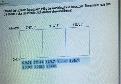 Solved Basepair The Codons To The Anticodon Taking The