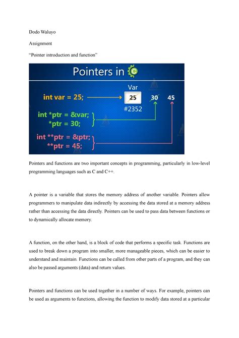 Assignmen Programming Pointer Function And Indtroduction Dodo Waluyo