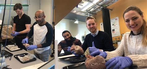 Harvard Biorobotics Laboratory