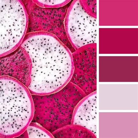 Palette De Couleurs Fruit Du Dragon
