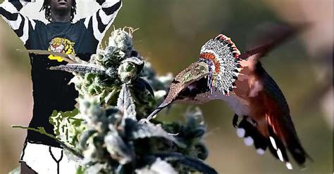 Kief Thief Chief Theives Chief Keefs Kief In His Briefs Imgur