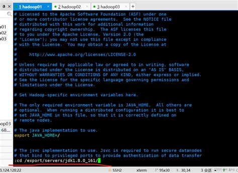 Hadoop分布式集群搭建（三台虚拟机）克隆安装hadoop三台从节点node1node2node3 Csdn博客