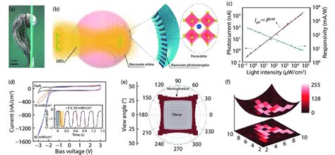 Color Online A Hemispherical Retina Based On Perovskite Nanowire Download Scientific Diagram