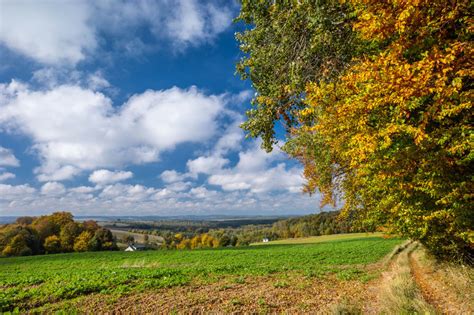 Pogoda na Wszystkich Świętych IMGW To może być rekordowy 1 listopada
