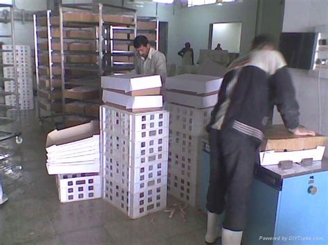 Processed Frozen Chicken Feet Syria Trading Company Meat Poultry
