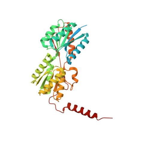 Rcsb Pdb 3edc Crystal Structure Of A 16 Hexanediol Bound Tetrameric