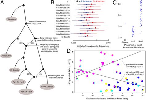 Population Relationships And Genome Size Characteristics A Admixture