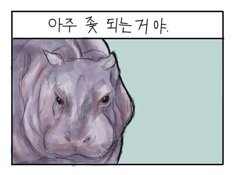 Live Canvas Sketchpan 작은 하마