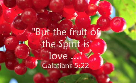 Fruits Of The Spirit Coloring Pages At James Ivery Blog