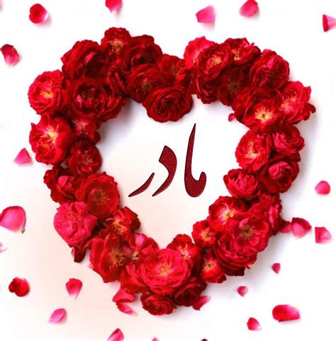 23 عکس از لحظات ناب و عکس نوشته های زیبا برای تشکر از محبت دیگران