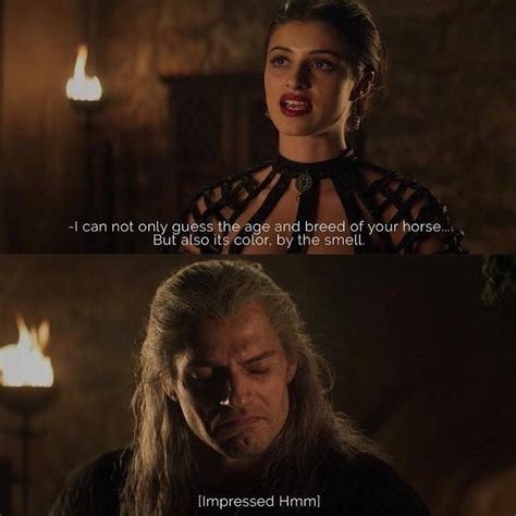 Some Witcher Memes Rnetflixwitcher