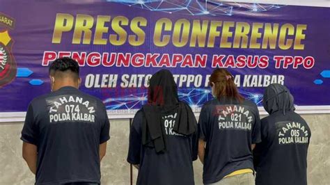 Sepekan 36 Kasus Tppo Di Kalbar Berhasil Digagalkan Suarakalbar Co Id