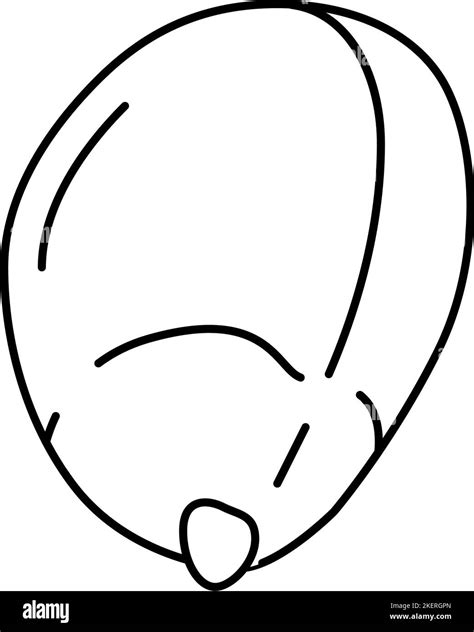 Corn Grain Line Icon Vector Illustration Stock Vector Image And Art Alamy