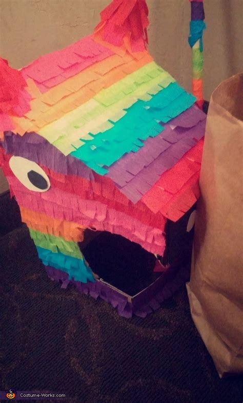 Adult Pinata Costume Diy Photo 22