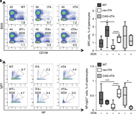Tet Transactivator Mediated Cytotoxicity In Antigen Stimulated B Cells