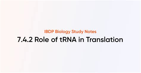 Role Of Trna In Translation 7 4 2 Ib Dp Biology Notes Tutorchase