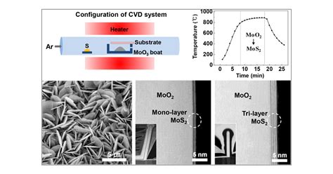 Synthesis Of Vertical Moo2 Mos2 Core Shell Structures On An Amorphous Substrate Via Chemical