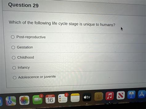 Solved Question 29Which Of The Following Life Cycle Stage Is Chegg