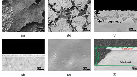 Microstructures Of Surface A B And E And Cross Sections C D And F Download Scientific