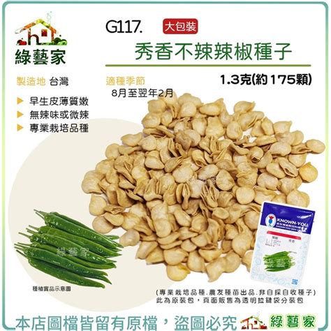 【綠藝家】大包裝g117秀香不辣辣椒種子13克約175顆皮薄質嫩，無辣味或微辣 盆栽園藝 Yahoo購物中心