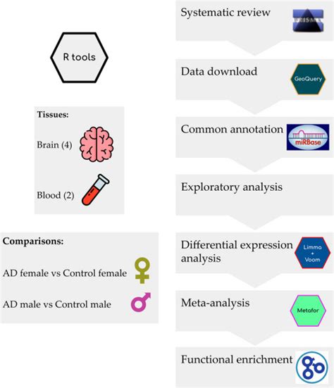 The Role Of Micrornas In Understanding Sex Based Differences In