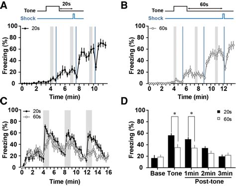 Entorhinal Cortical Island Cells Regulate Temporal Association Learning With Long Trace Period