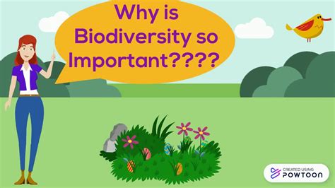 Biodiversity Lecture Summary Youtube