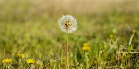 How I Built A Saas App In Less Than 5 Hours Using Ai By Stu Green Medium