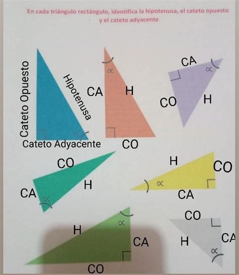 En Cada Triángulo Rectángulo Identifica La Hipotenusa El Cateto