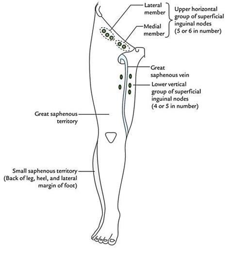Pin On ~ I Lo♥e My Feet And My Body