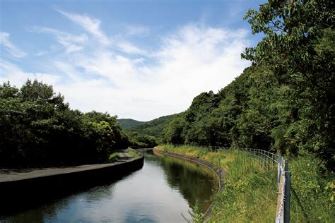 Discover Japan
