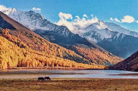 2023阿坝神座景区旅游攻略 门票价格 开放时间 景区介绍 简介 交通 地址 天气旅泊网