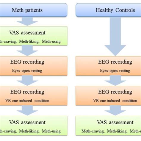 Schematic Diagram Of Assessment Procedure Download Scientific Diagram