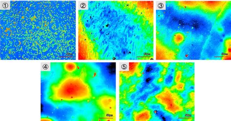 Fig S7 Height Morphology Of Platelet Adhesion Test Results Of