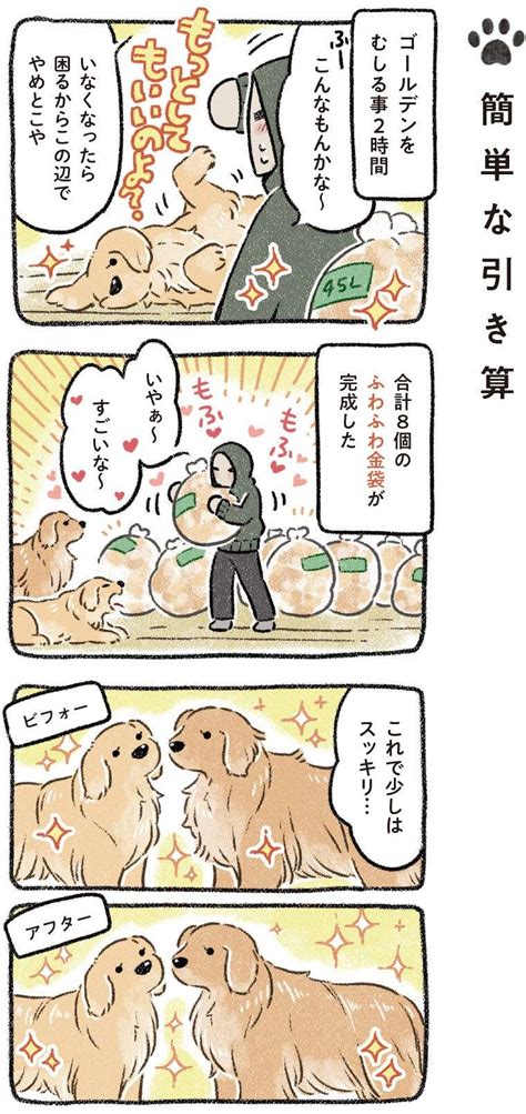 2時間かけて犬をむしるビフォーアフターはドベとノラ 2 犬が結んだご縁 毎日が発見ネット
