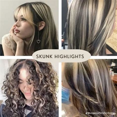 Pin By Brianne Jirik On Charlottes Board Hairdos For Curly Hair Punk Hair Hair Inspo Color