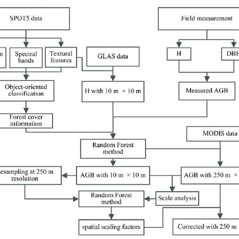Flowchart Of Agb Modeling And Spatial Scaling H Is Maximum Forest Download Scientific Diagram